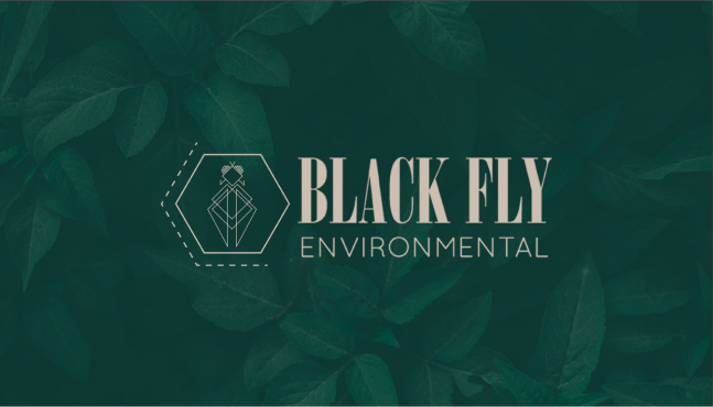 Black Fly Environmental - The Beacon Collective